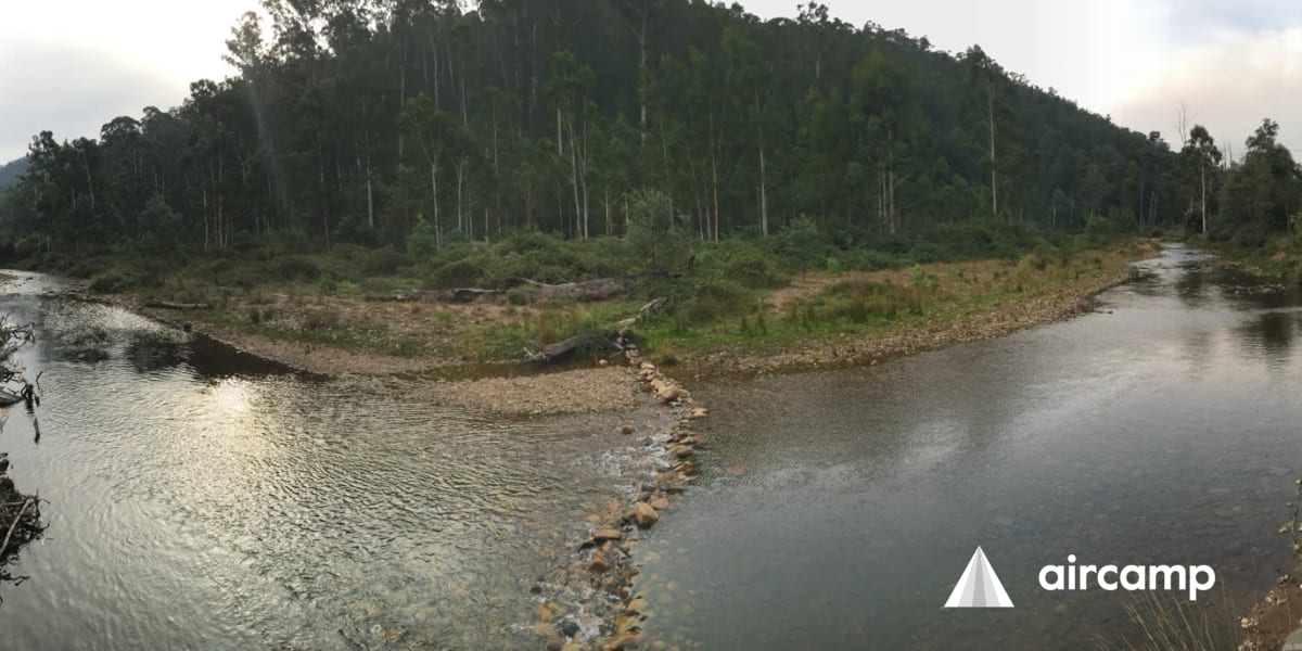 Tobacco Flat - Anycamp