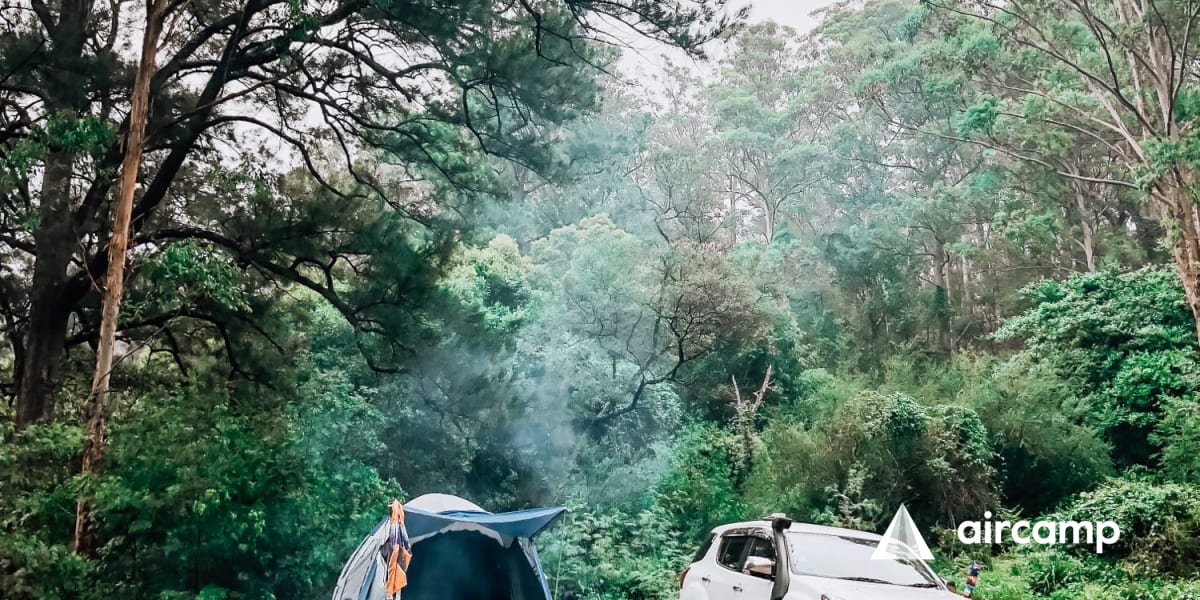 Yadboro Flat - Anycamp