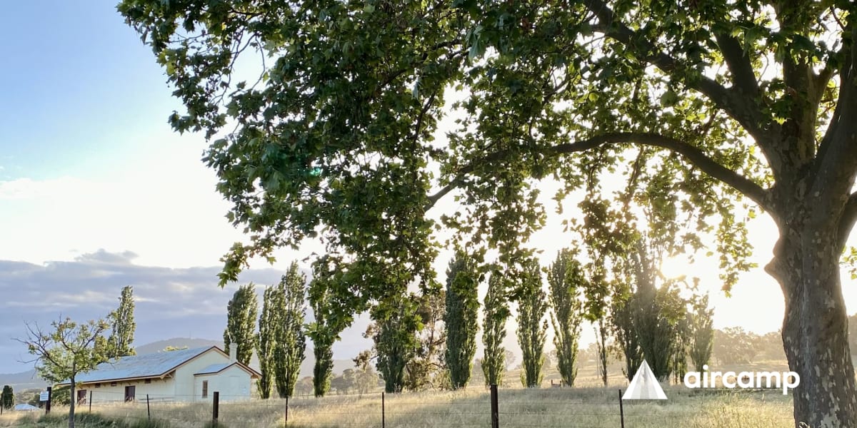 Tenterfield Lodge Caravan Park - Anycamp