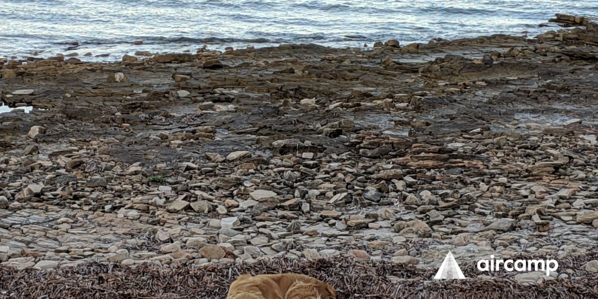 Shingle Beach - Anycamp