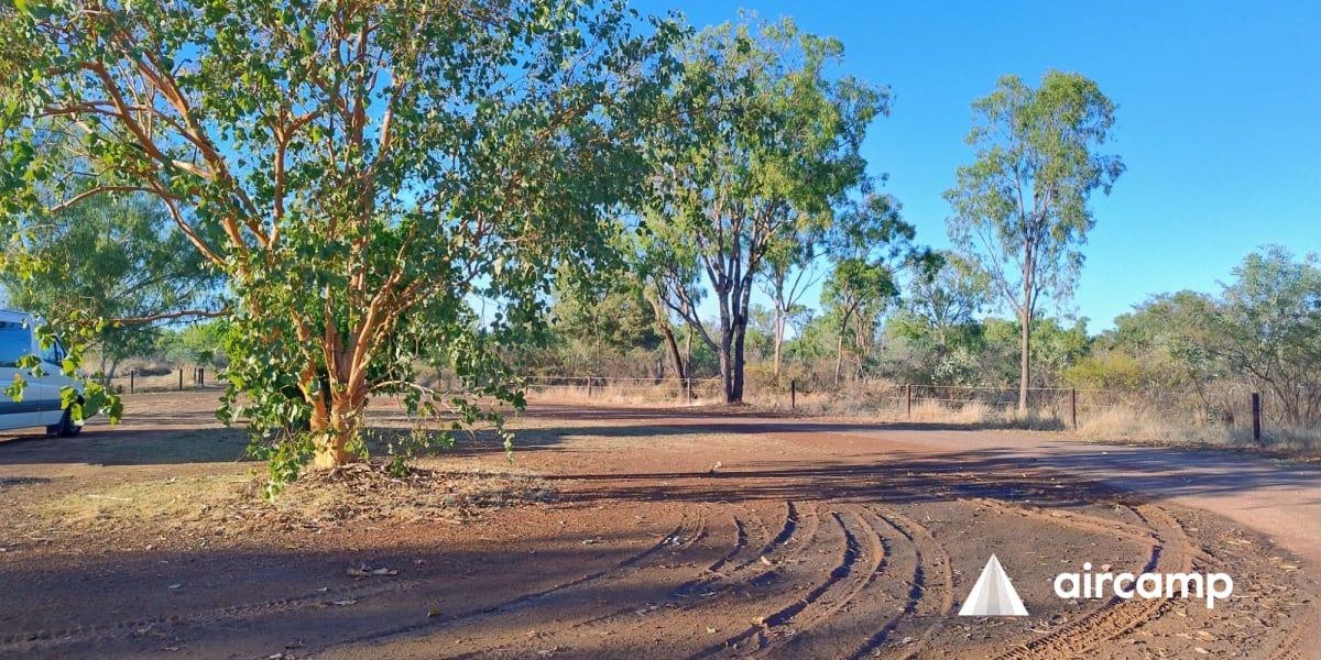 The Stuart Tree Overnight - Anycamp