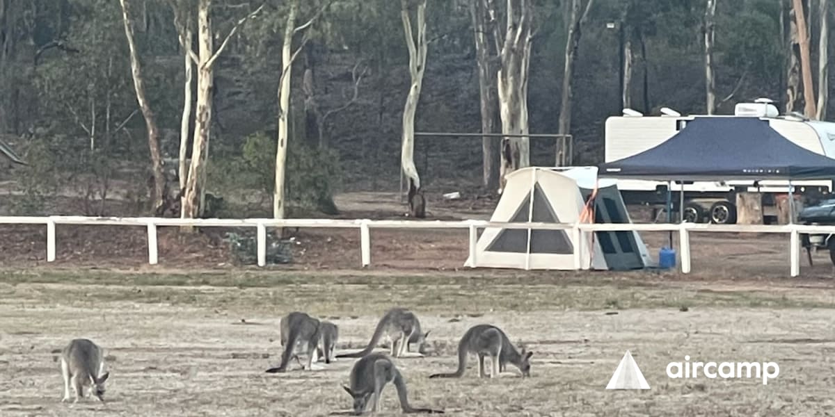 Tarnagulla Historic Reserve Camping Ground - Anycamp