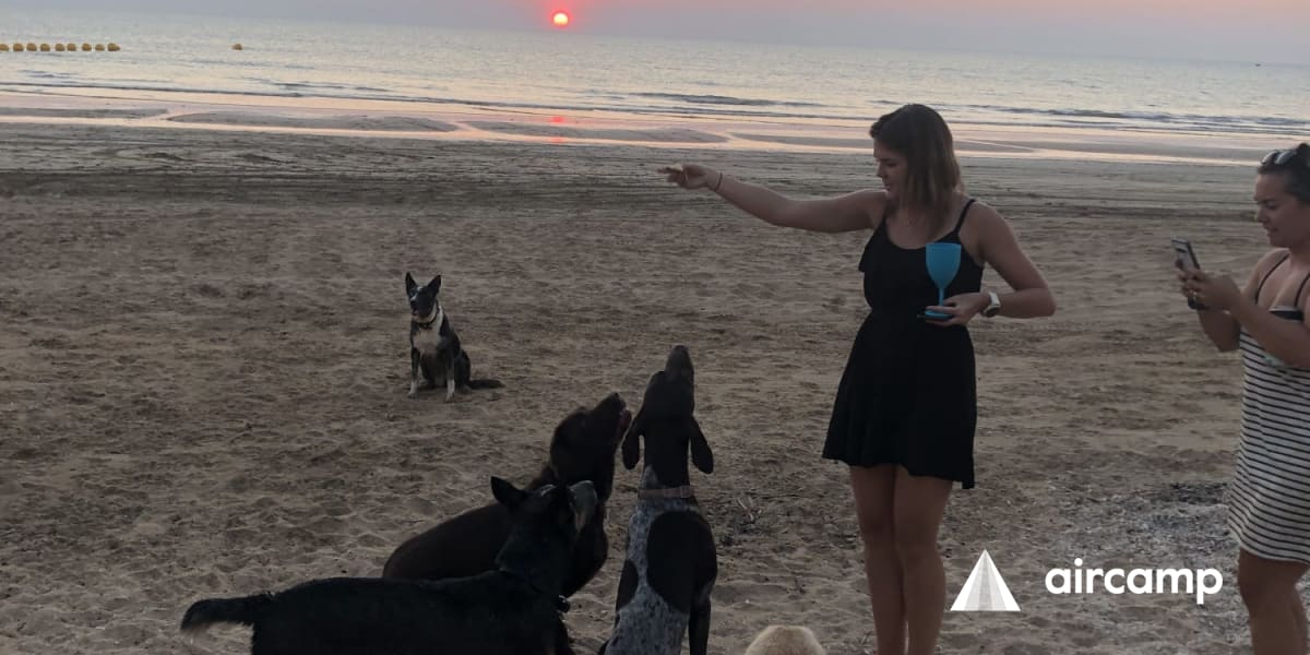 Gunn Point - Anycamp