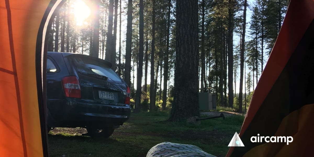 Ponderosa Park Campground - Anycamp