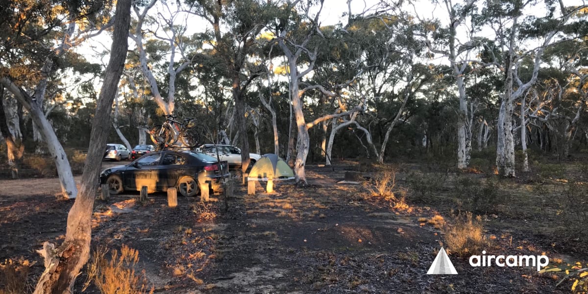 Wog Wog campground - Anycamp