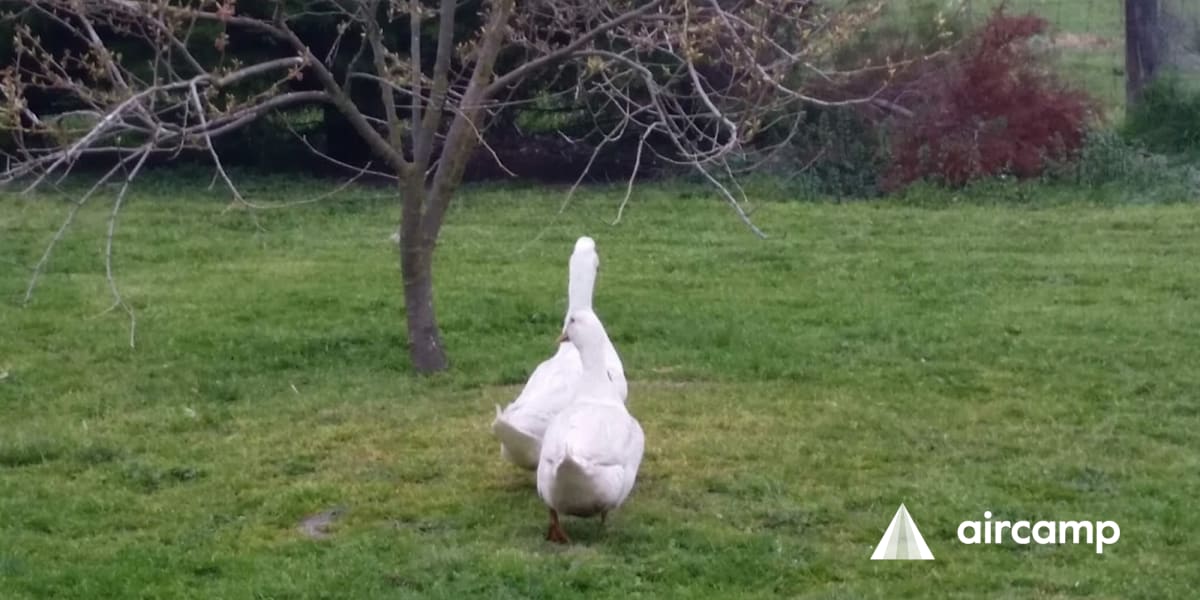 Cremona Hillside Farm - Anycamp