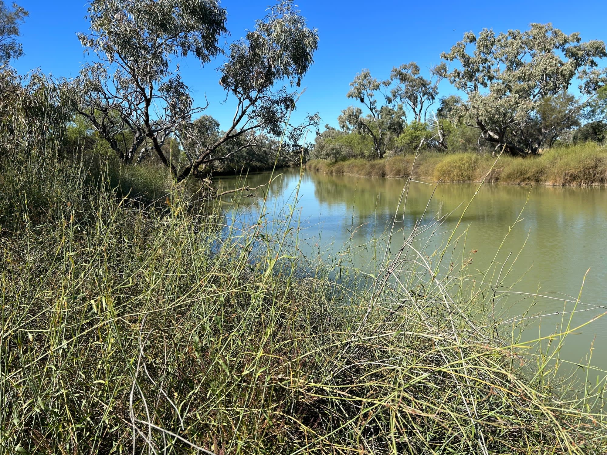 Top 1 free campsites near Isisford - Anycamp