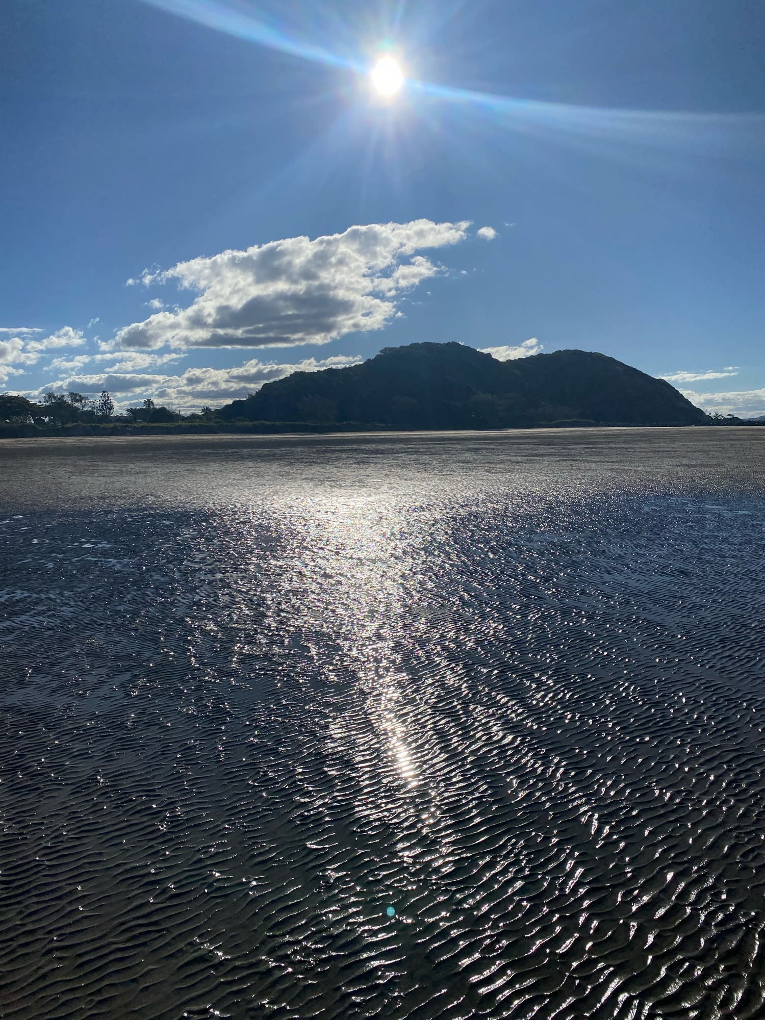 1 campgrounds with cabins near Keppel Sands - Anycamp