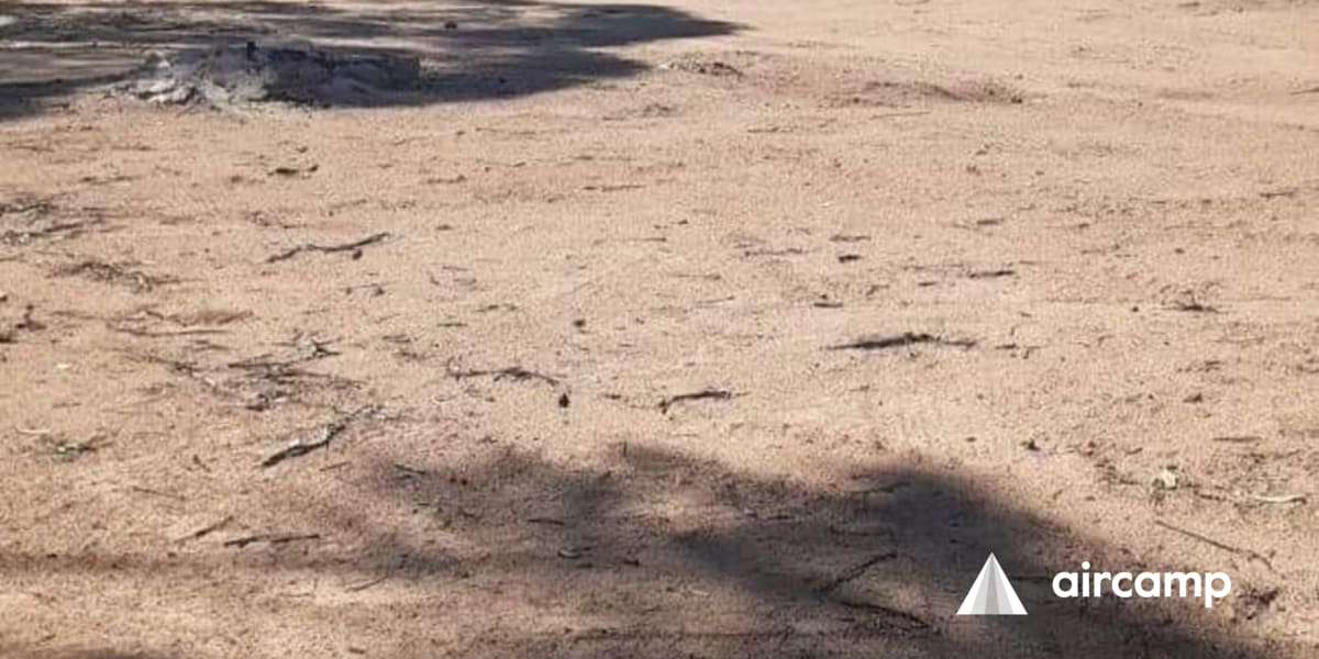 Thick Trees Camp Spot - Anycamp