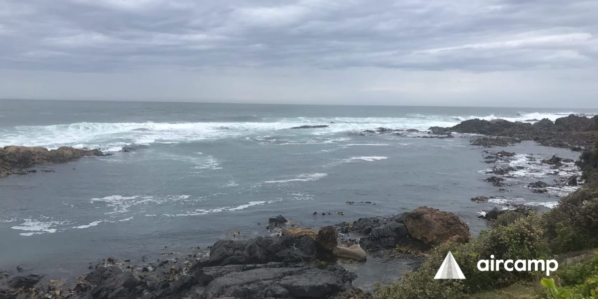 Trial Harbour - Anycamp