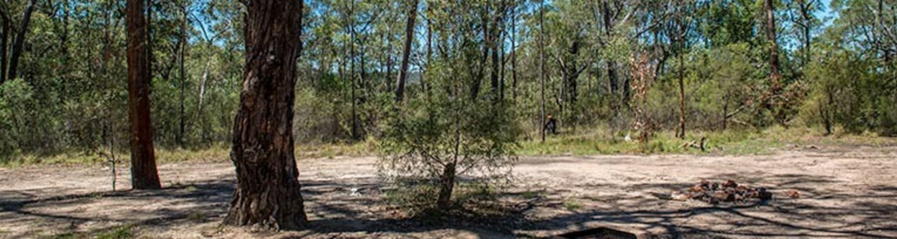 Finchley campground - Anycamp