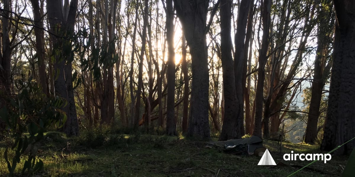 Craig's Hut - Anycamp