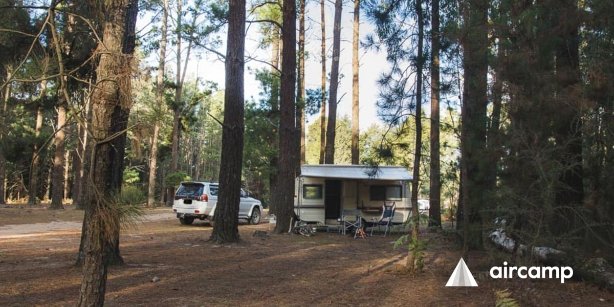 HQ Camp, Wingello Forest - Anycamp