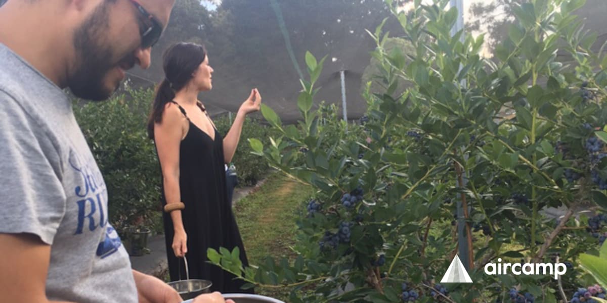 Woolshed Flat campground - Anycamp