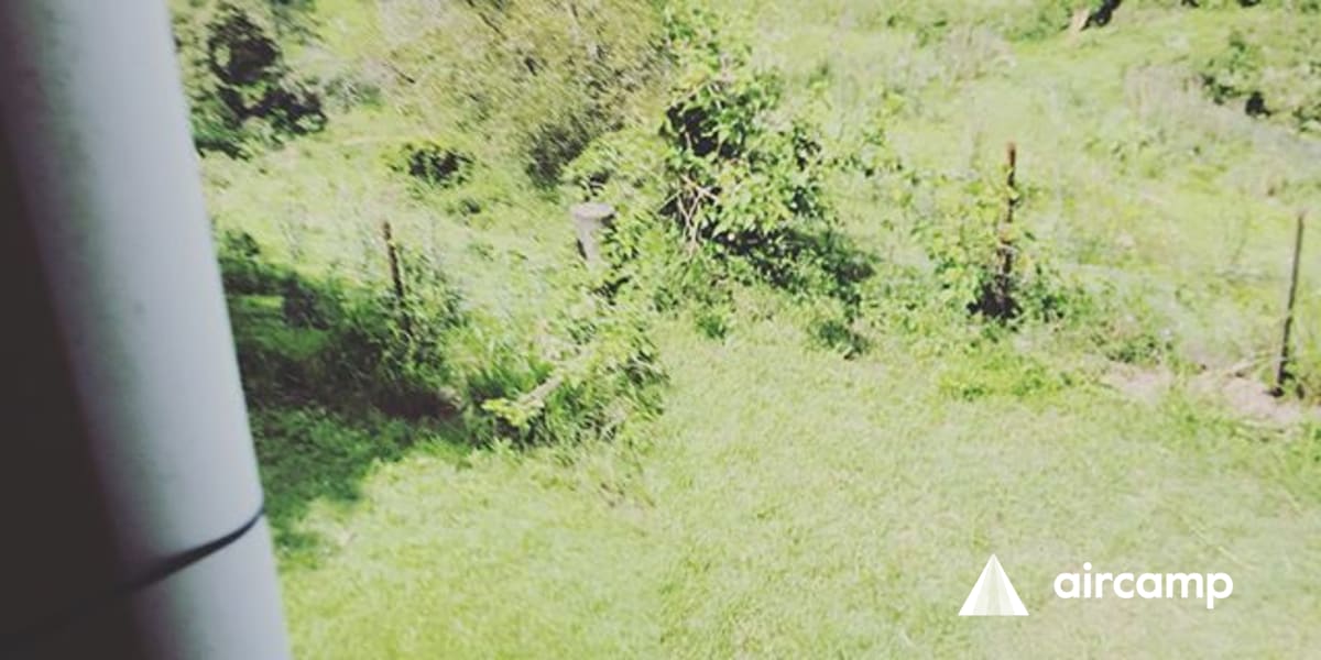 Kookaburra Park - Anycamp