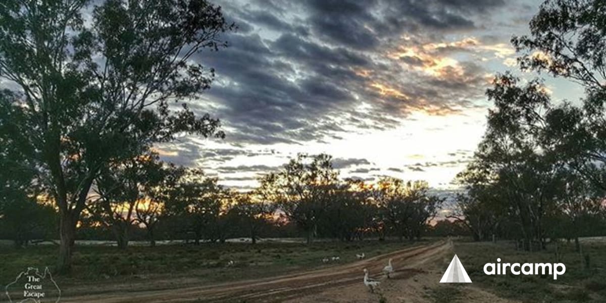 Carinya Station - Anycamp