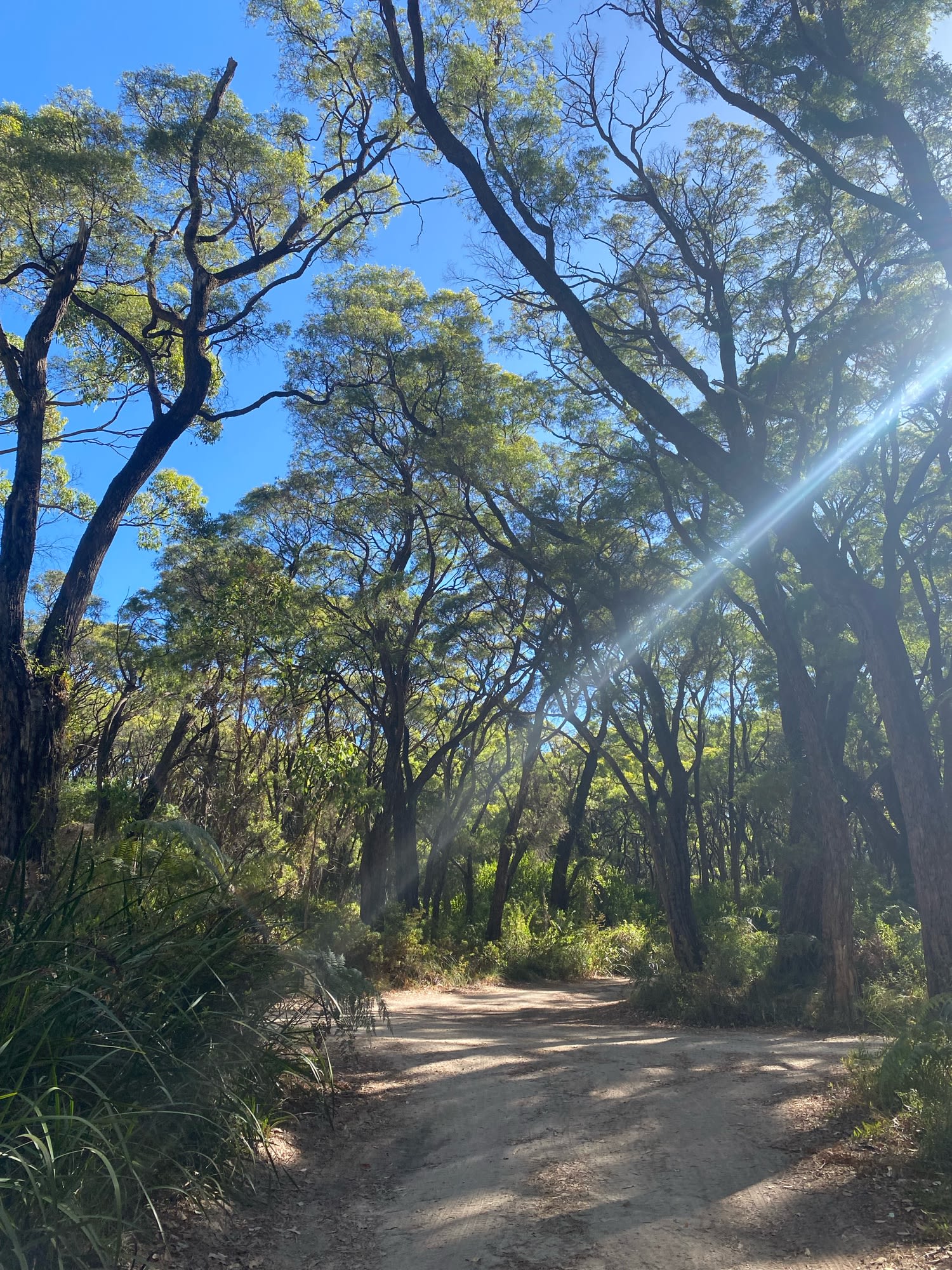 Top 1 National Park campgrounds near Deepdene beach - Anycamp