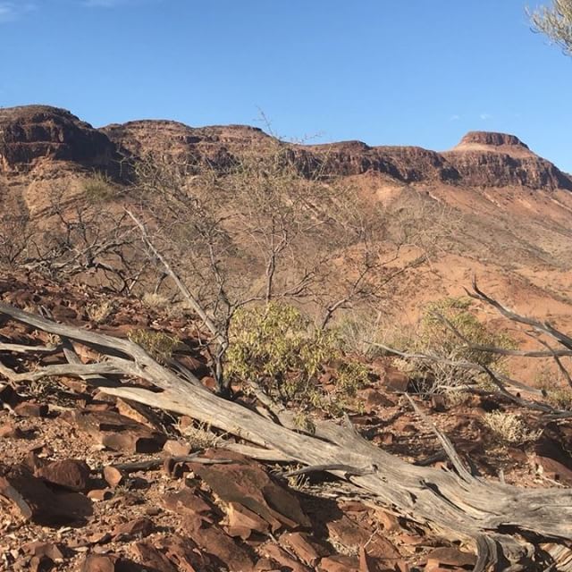 Gammon Ranges - Anycamp