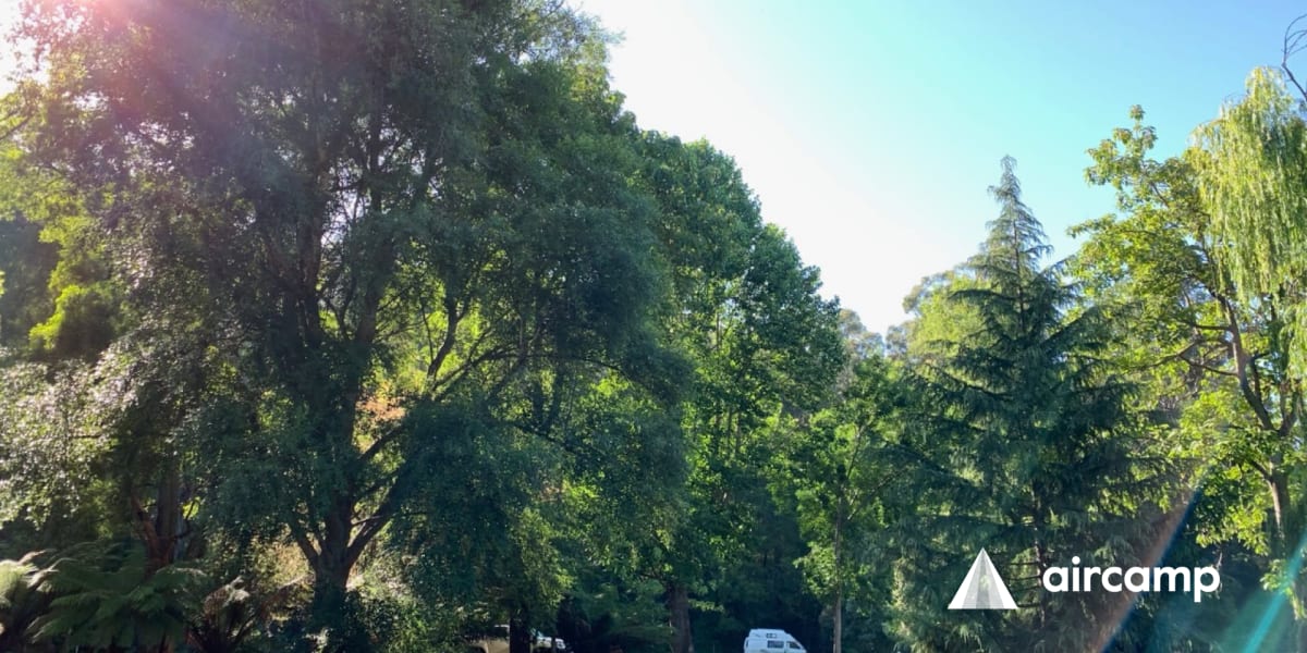 Bellbird Hotel - Anycamp