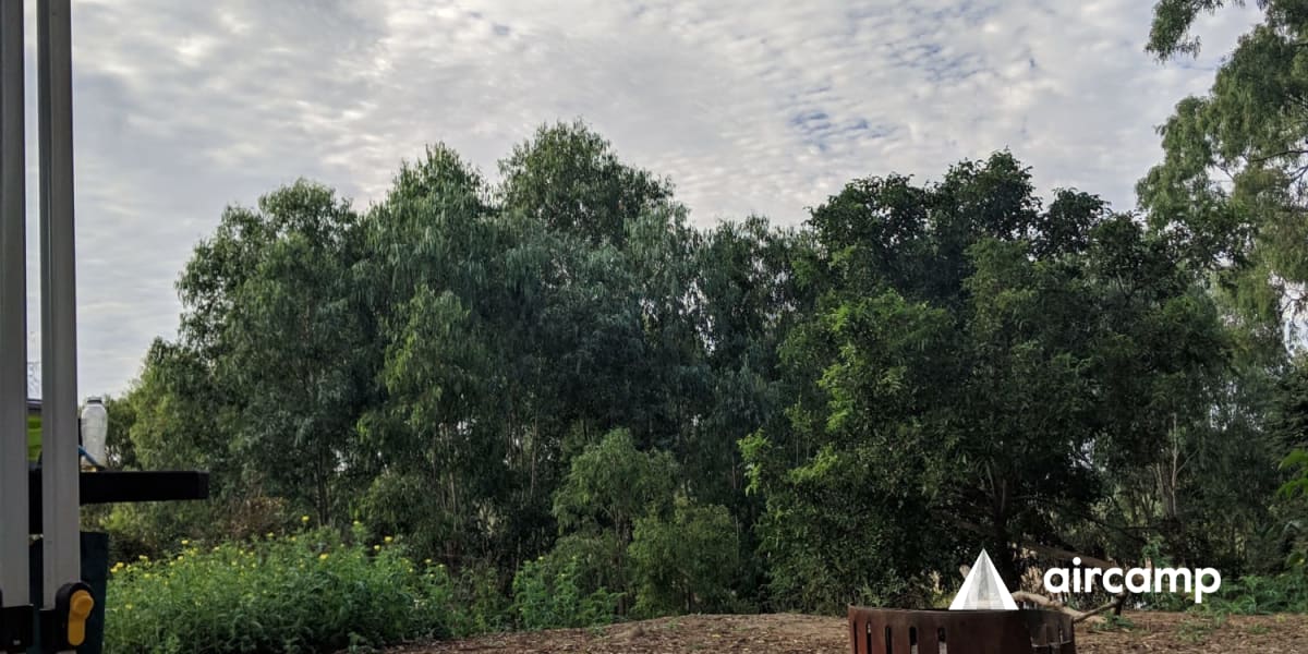 Dalrymple National Park - Anycamp