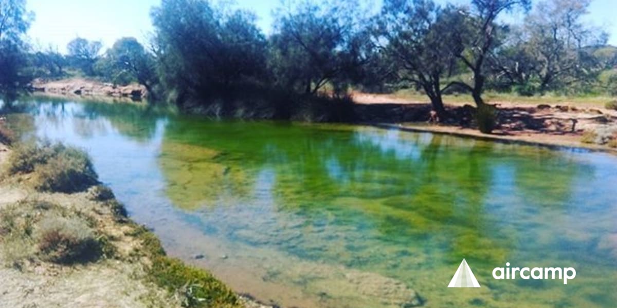 Drovers Pool - Anycamp