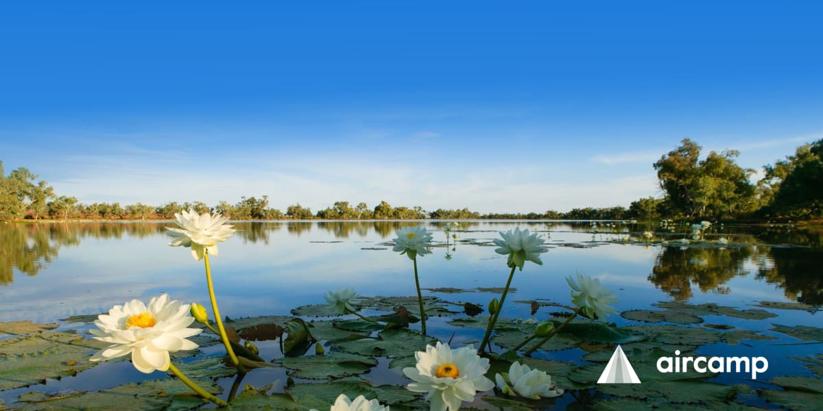 The Lake, Quilpie - Anycamp