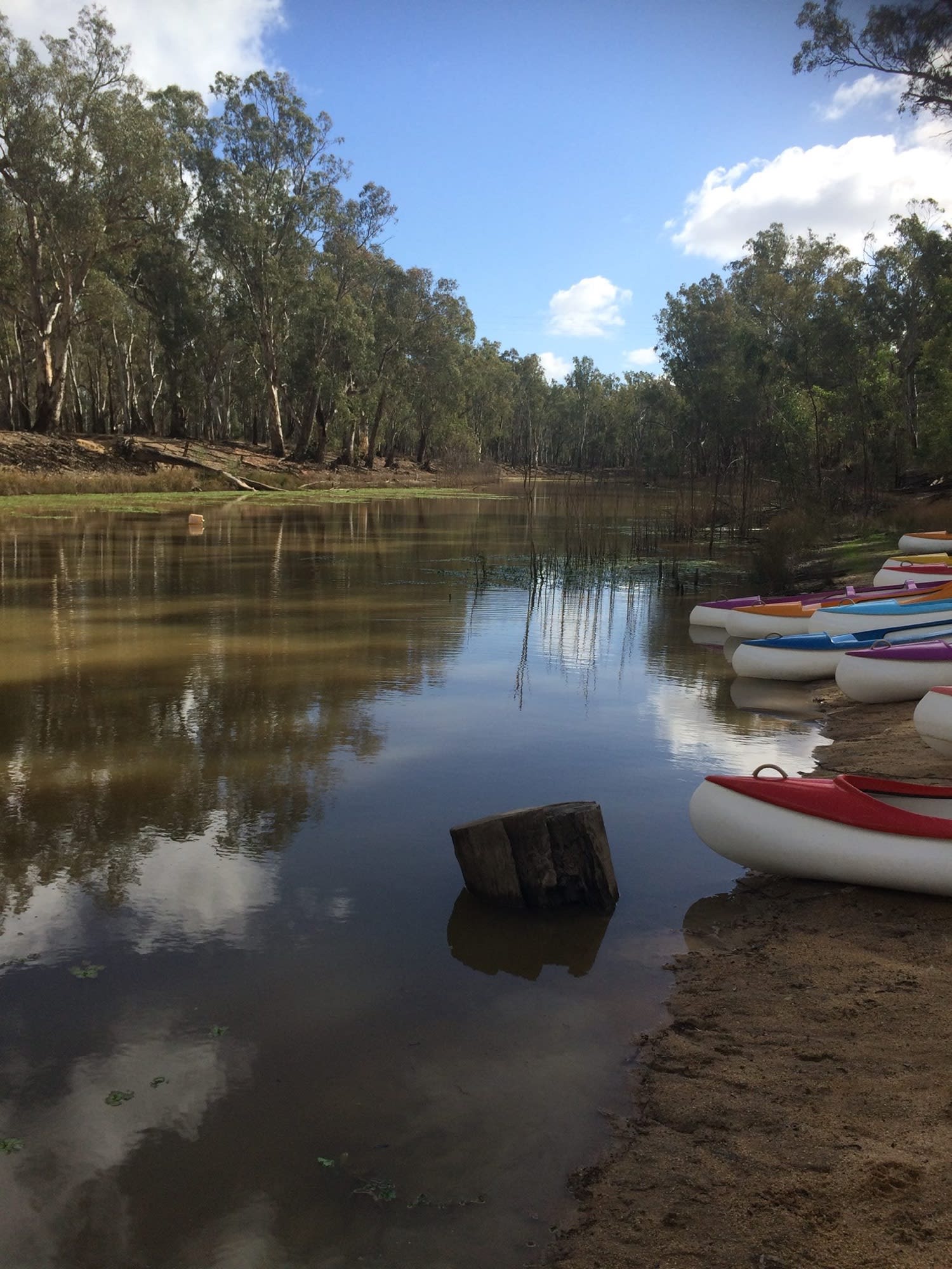 Top 1 camping areas with powered sites near Kotupna - Anycamp