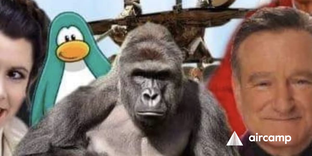 Kingscote Nepean Bay Tourist Park - Anycamp