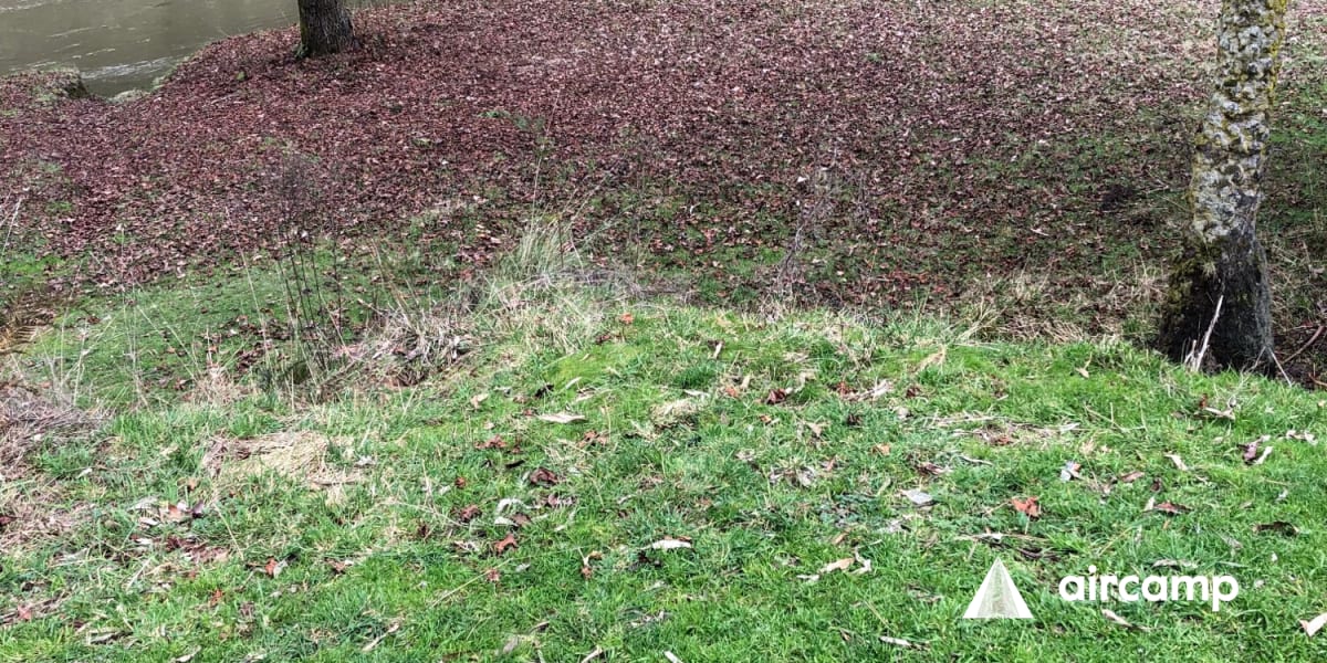 Doctors Creek Reserve - Anycamp