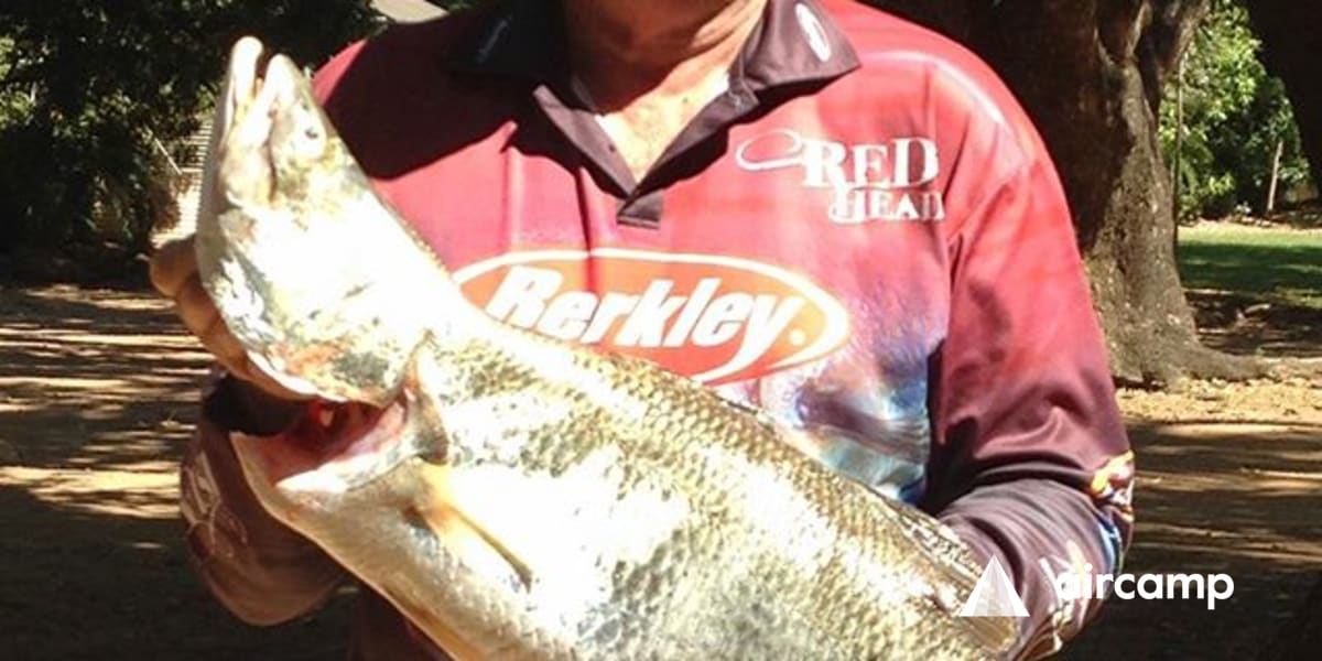 Daly River Mango Farm - Anycamp