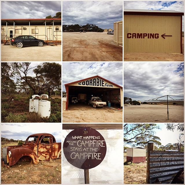 Coorabie - Anycamp