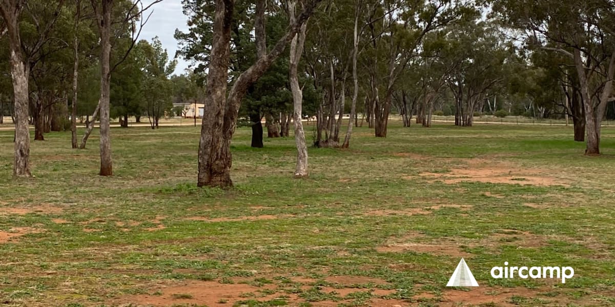 Barellan Showgrounds - Anycamp