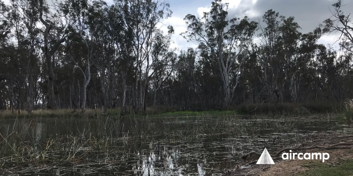 Fulham Streamside Reserve - Anycamp
