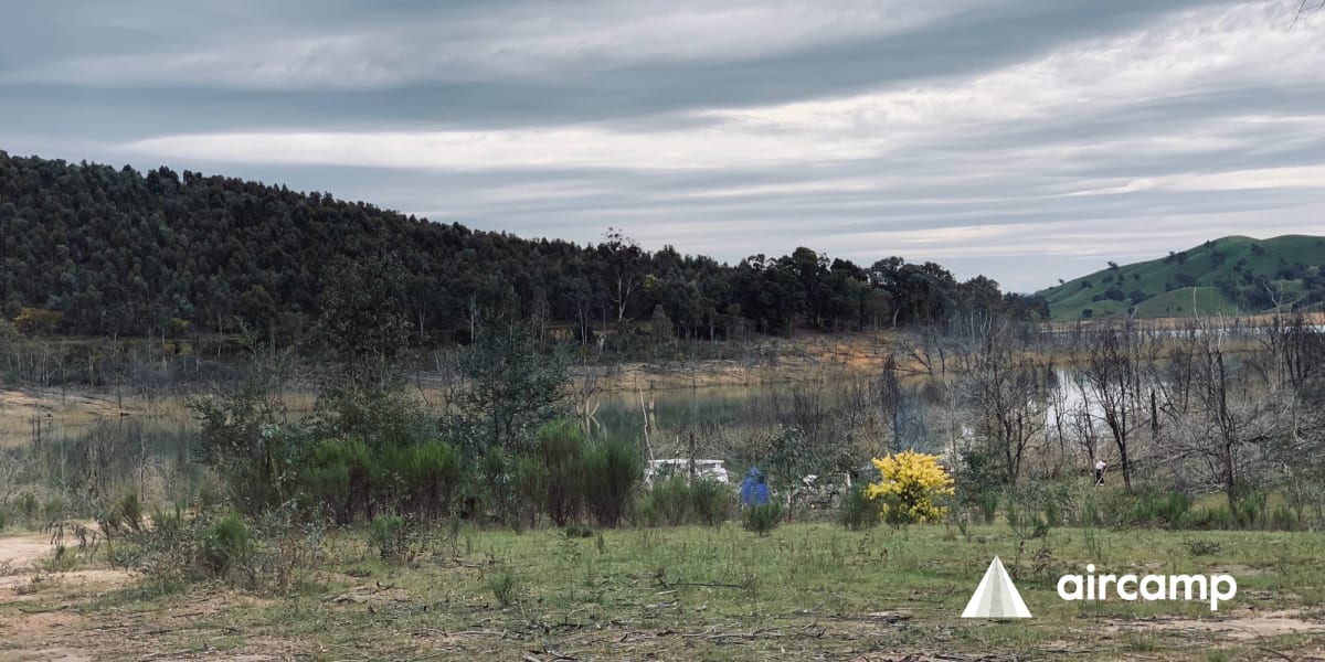 Kangaroo Gully - Anycamp