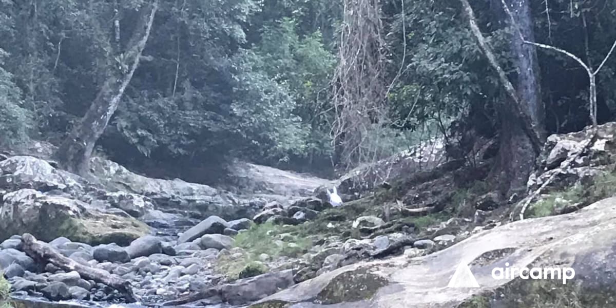 Allyn River Forest Park - Anycamp