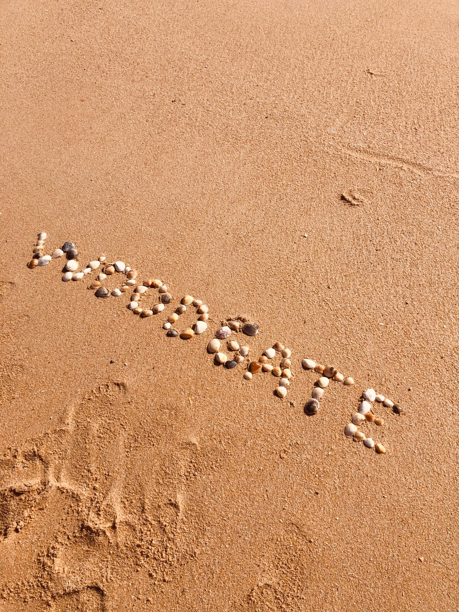 1 campgrounds with cabins near Woodgate - Anycamp