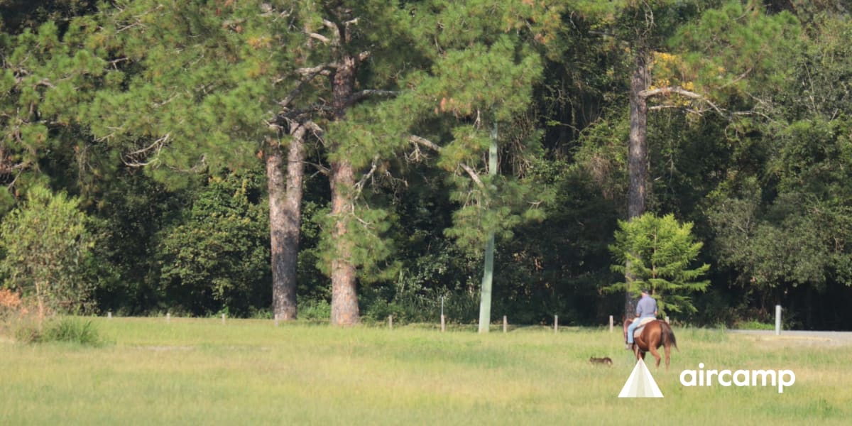 Dayboro Showgrounds - Anycamp