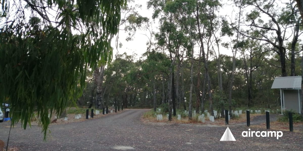 Tanner's Rd Bend - Anycamp
