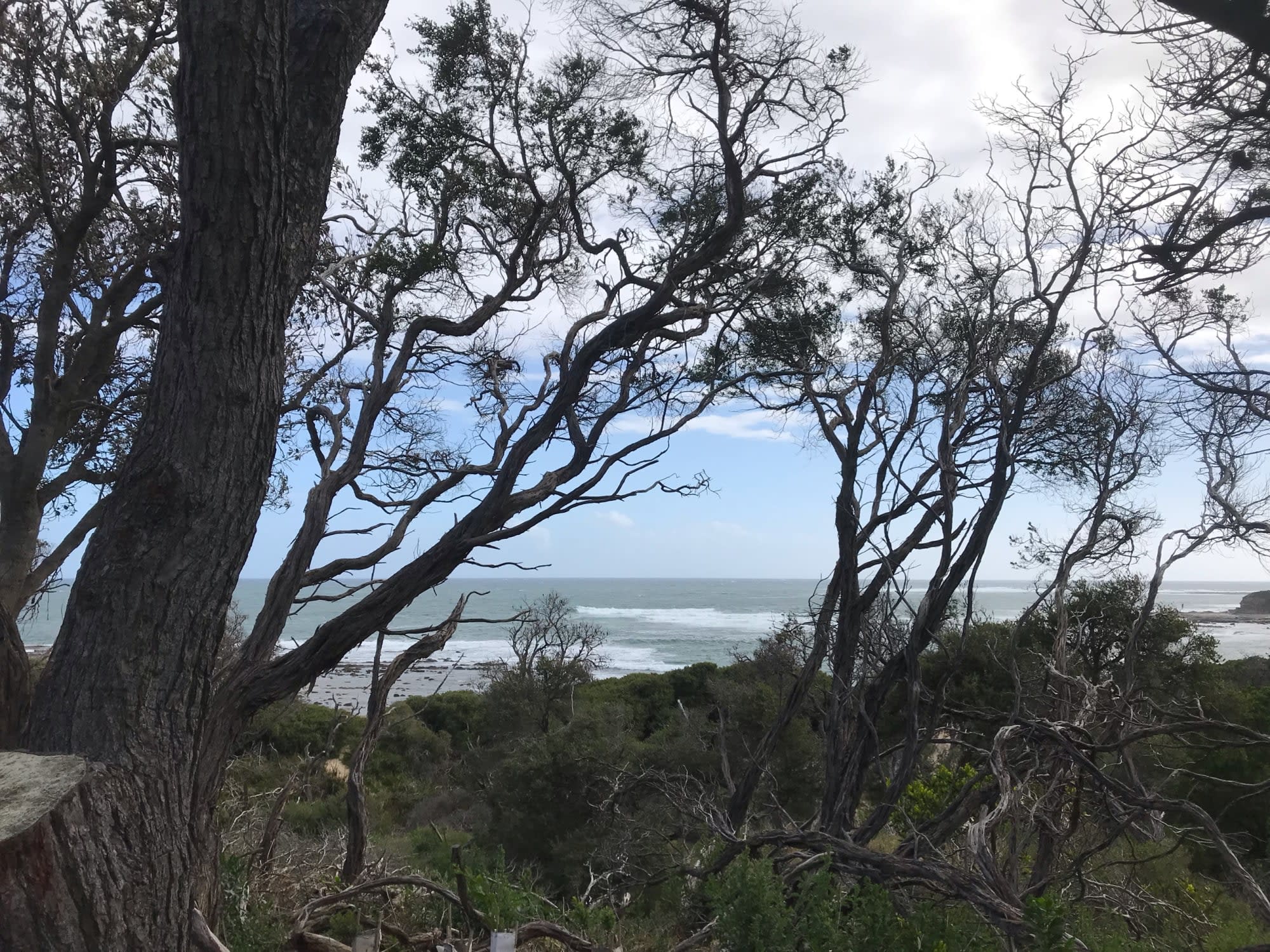 Top 1 campsites for fishing near Cape Paterson - Anycamp