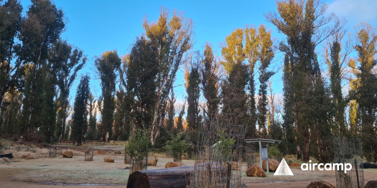 Mt Pinnibar Hut - Anycamp