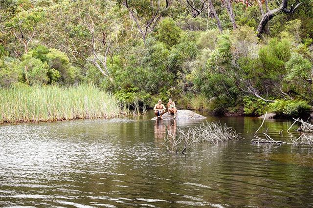 Garie Beach - Anycamp