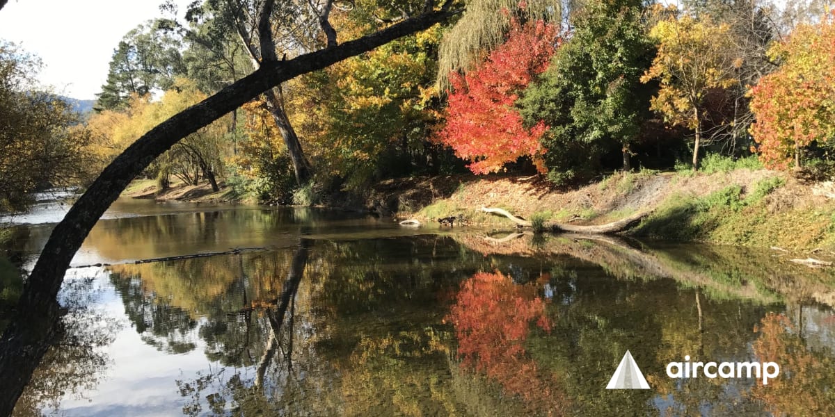 Riverview Caravan Park - Anycamp