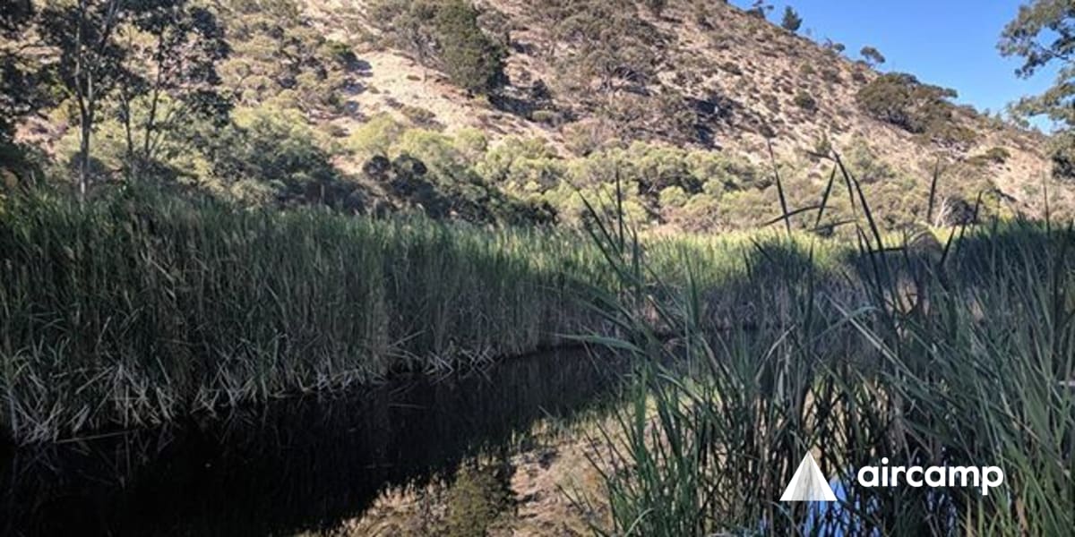 Burra Creek Gorge - Anycamp