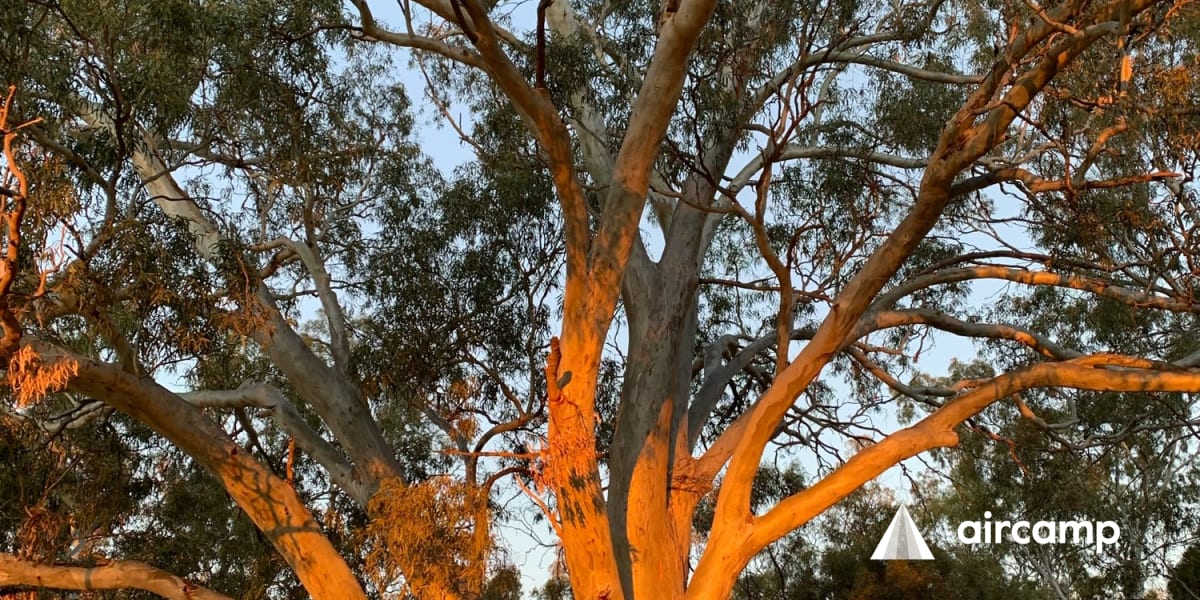 Mundulla Showgrounds - Anycamp