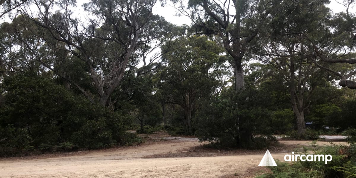 Moulting Bay - Anycamp