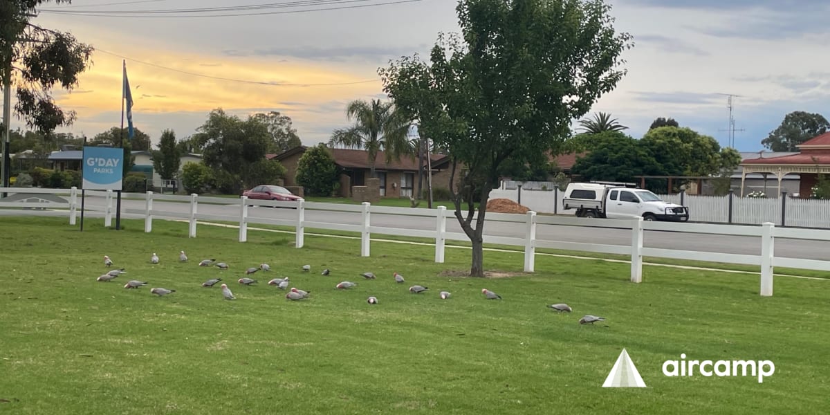 Boomerang Way Tourist Park - Anycamp