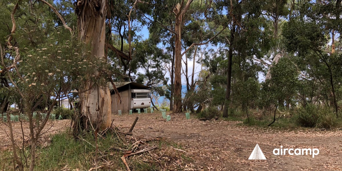 Shoreham Foreshore Camping Grounds - Anycamp