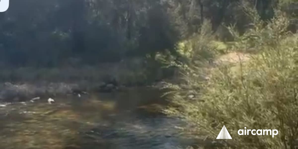 Sandy Flat - Anycamp