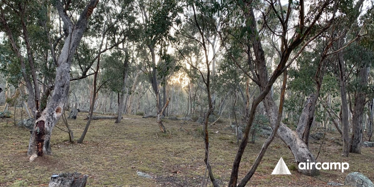 Orroral Campground - Anycamp