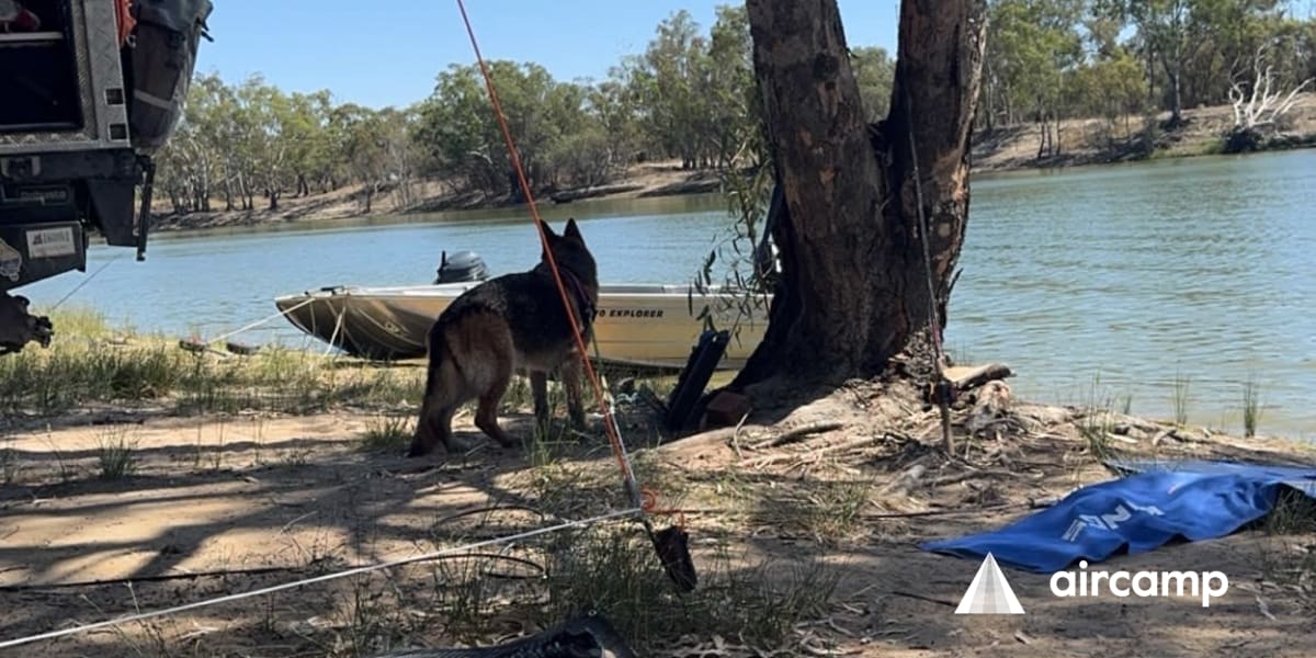 Hogwash bend - Anycamp